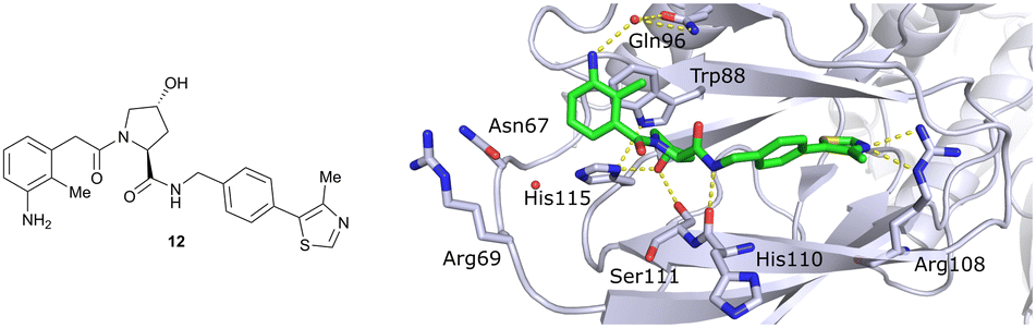 Discovery of small molecule ligands for the von Hippel-Lindau (VHL) E3 ...