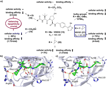 Discovery of small molecule ligands for the von Hippel-Lindau (VHL) E3 ...