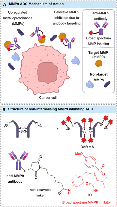 Non-internalising antibody–drug conjugates - Chemical Society Reviews ...