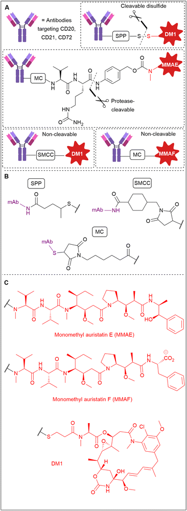 Non-internalising antibody–drug conjugates - Chemical Society Reviews ...