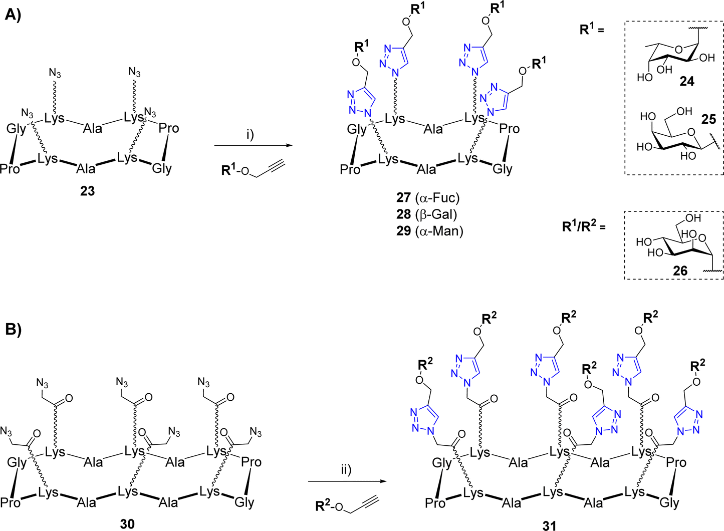 Multivalent glycocyclopeptides: conjugation methods and biological ...