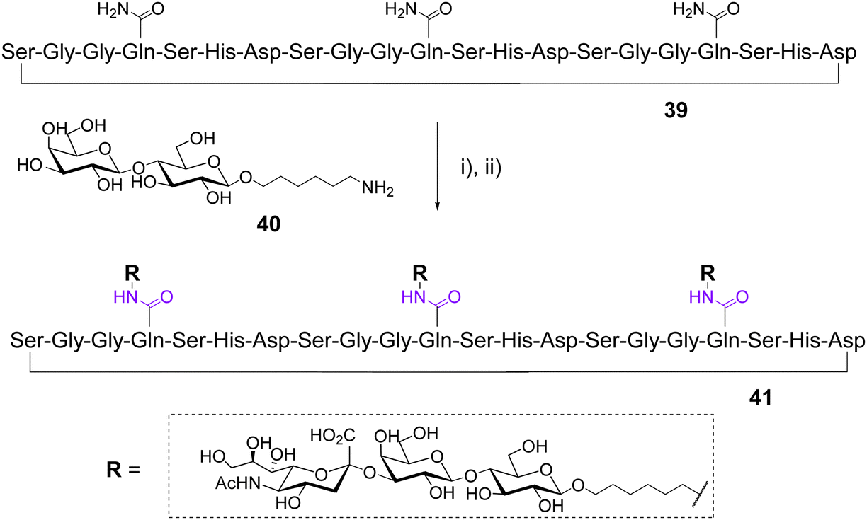 Multivalent glycocyclopeptides: conjugation methods and biological ...