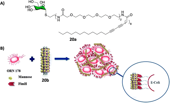 Carbon-based glyco-nanoplatforms: towards the next generation of glycan ...