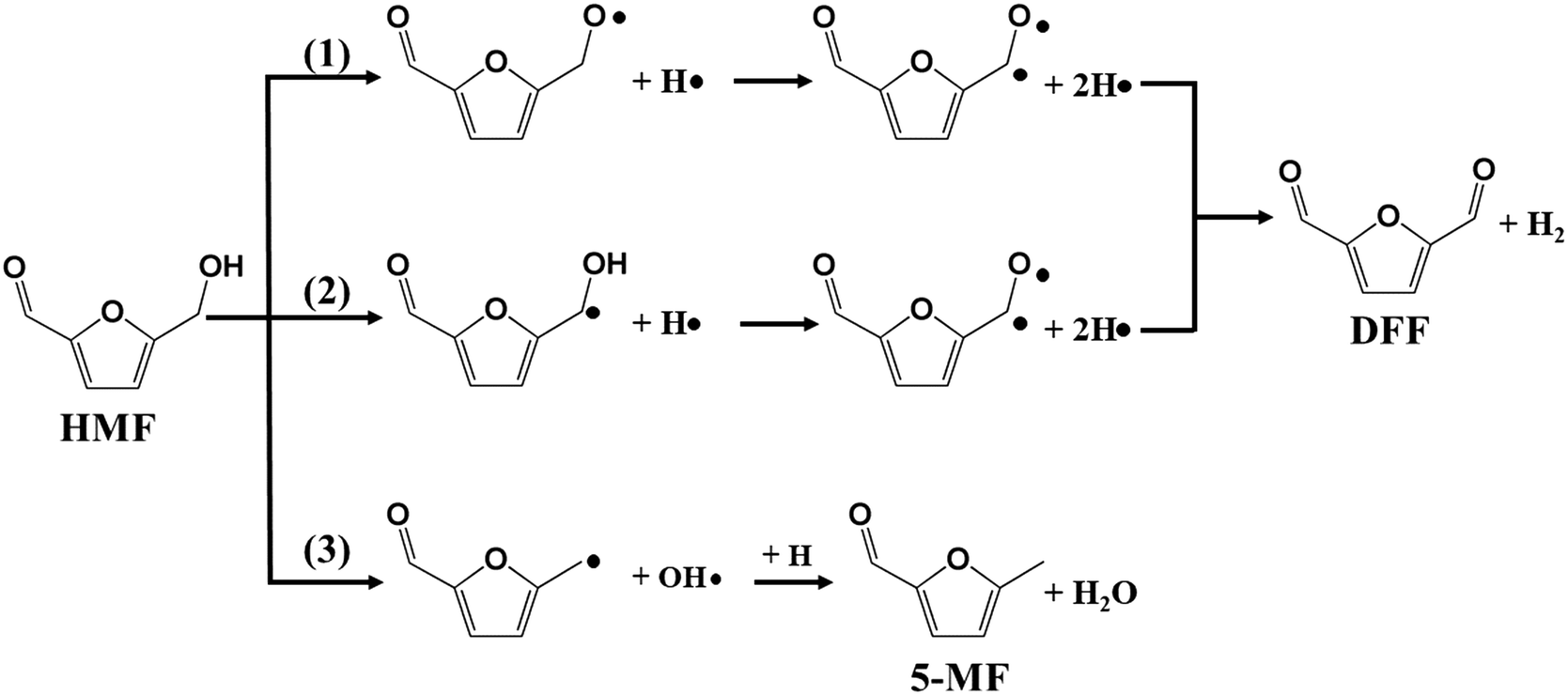 The reaction pathways of 5-hydroxymethylfurfural conversion in a ...