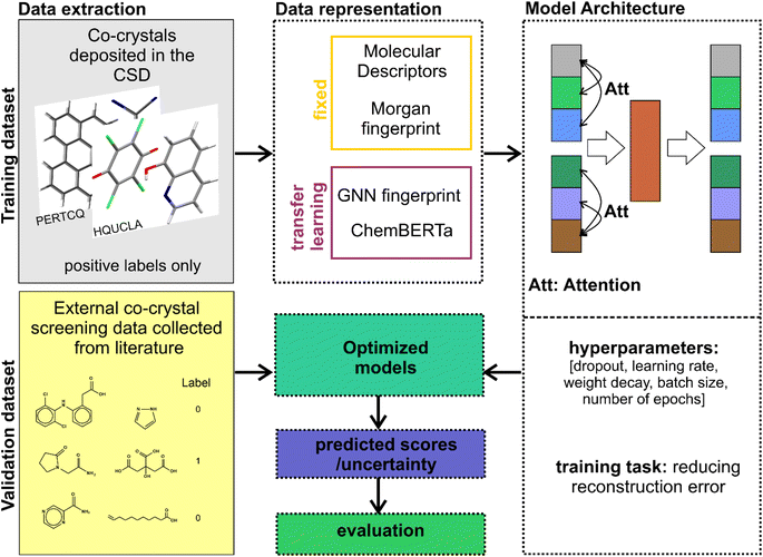 Molecular set transformer: attending to the co-crystals in the ...