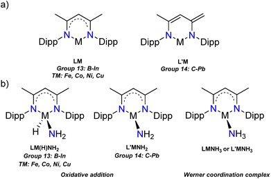 Oxidative addition or Werner coordination complex? Reactivity of β ...