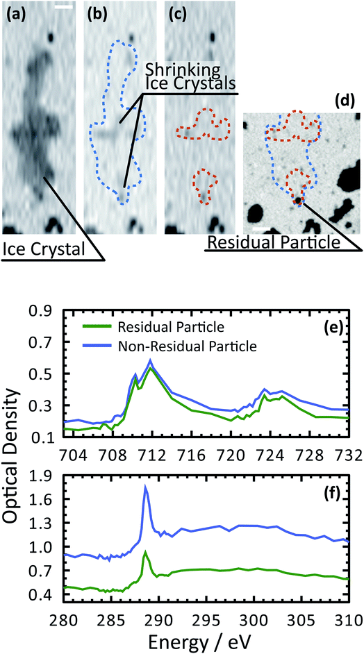 Ice nucleation imaged with X-ray spectro-microscopy - Environmental ...