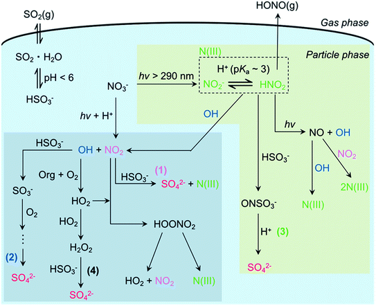 Particulate nitrate photolysis in the atmosphere - Environmental ...