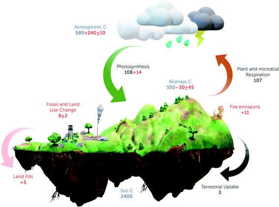 Terrestrial carbon cycle: tipping edge of climate change between the ...