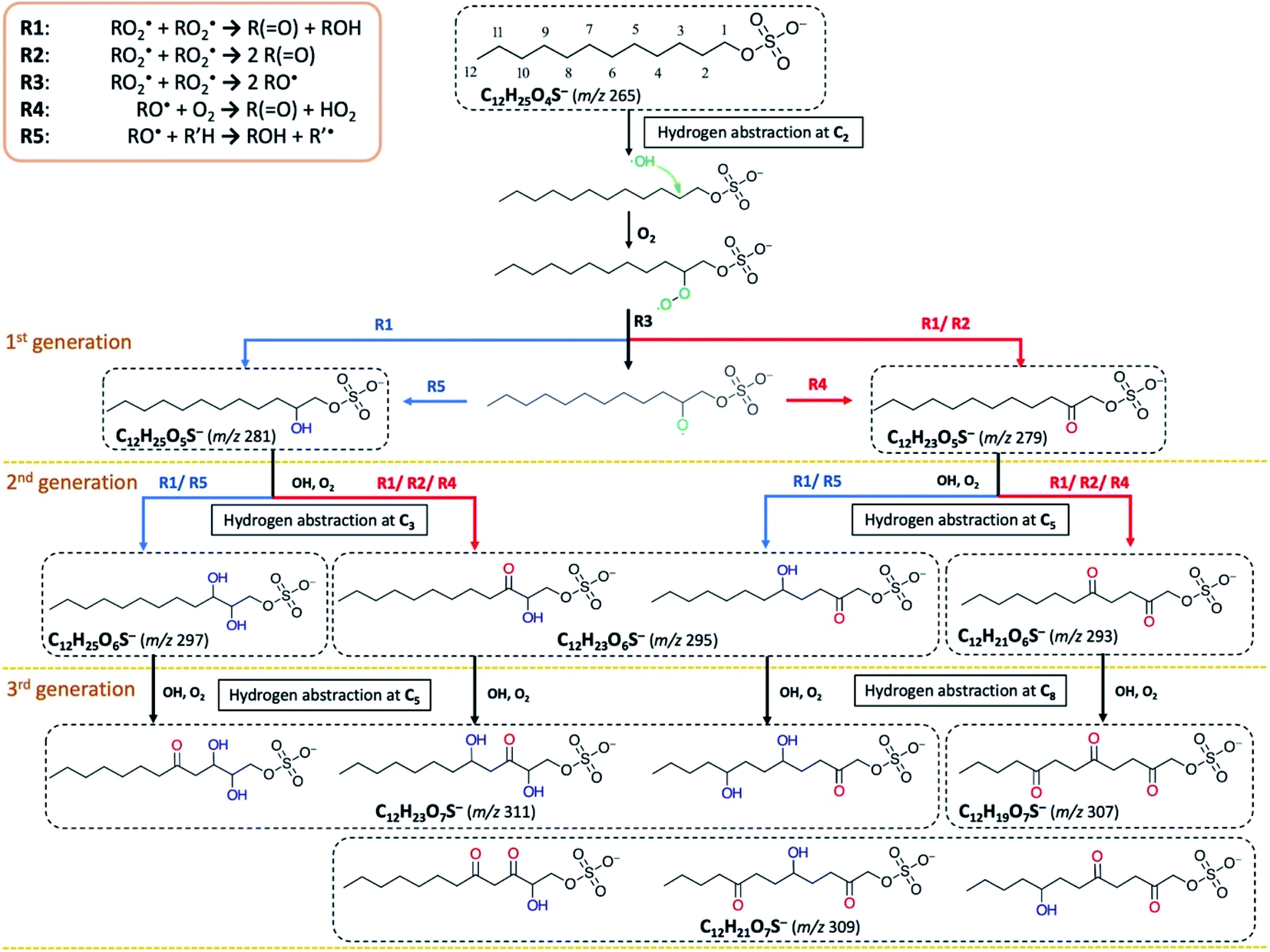 Chemical transformation of a long-chain alkyl organosulfate via ...