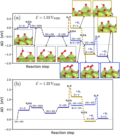 The Ir–OOOO–Ir transition state and the mechanism of the oxygen ...