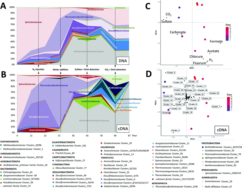 Geological storage of hydrogen in deep aquifers – an experimental ...