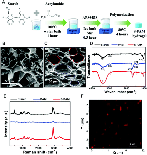A robust starch–polyacrylamide hydrogel with scavenging energy ...