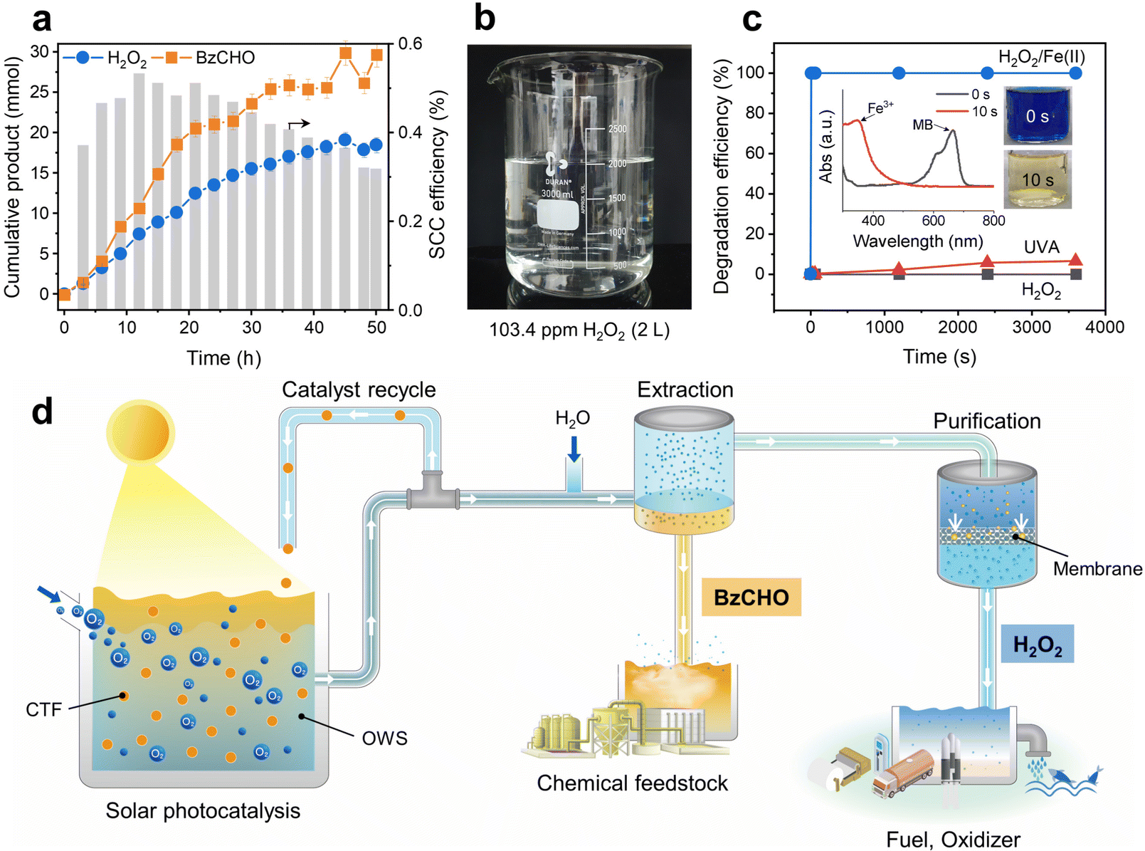 Solar-driven H 2 O 2 production via cooperative auto- and ...