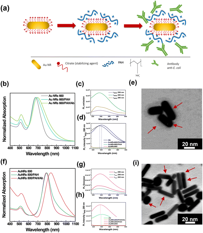 Label-free and reusable antibody-functionalized gold nanorod arrays for ...