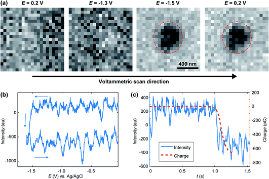 Hybrid scanning electrochemical cell microscopy-interference reflection ...