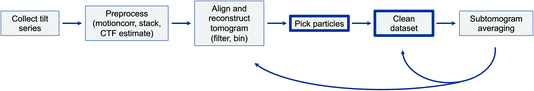 Strategies for picking membrane-associated particles within subtomogram ...
