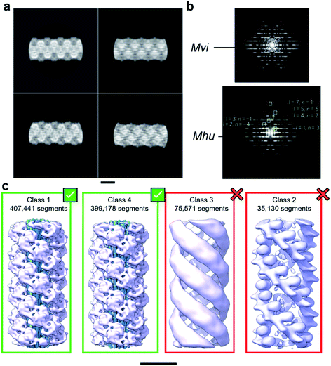 Escaping the symmetry trap in helical reconstruction - Faraday ...
