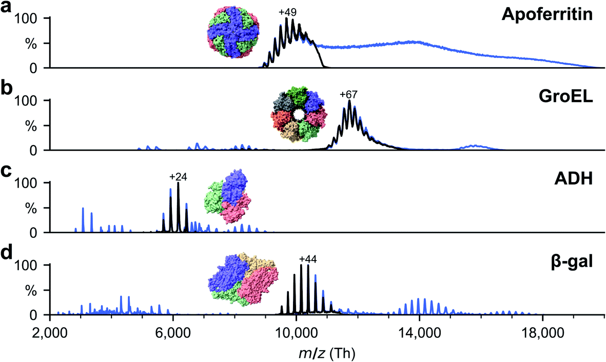 Cryo-EM samples of gas-phase purified protein assemblies using native ...