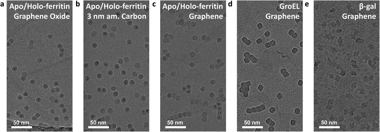 Cryo-EM samples of gas-phase purified protein assemblies using native ...