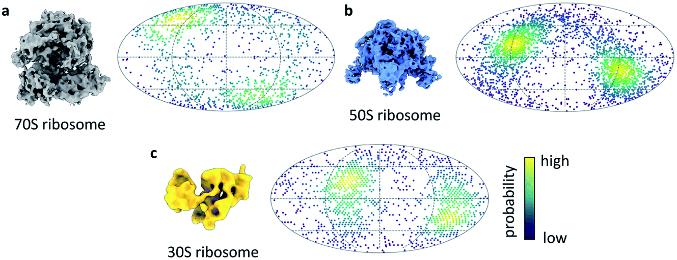 Towards sub-millisecond cryo-EM grid preparation - Faraday Discussions ...