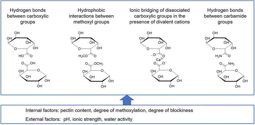 Structure, controlled release mechanisms and health benefits of pectins ...