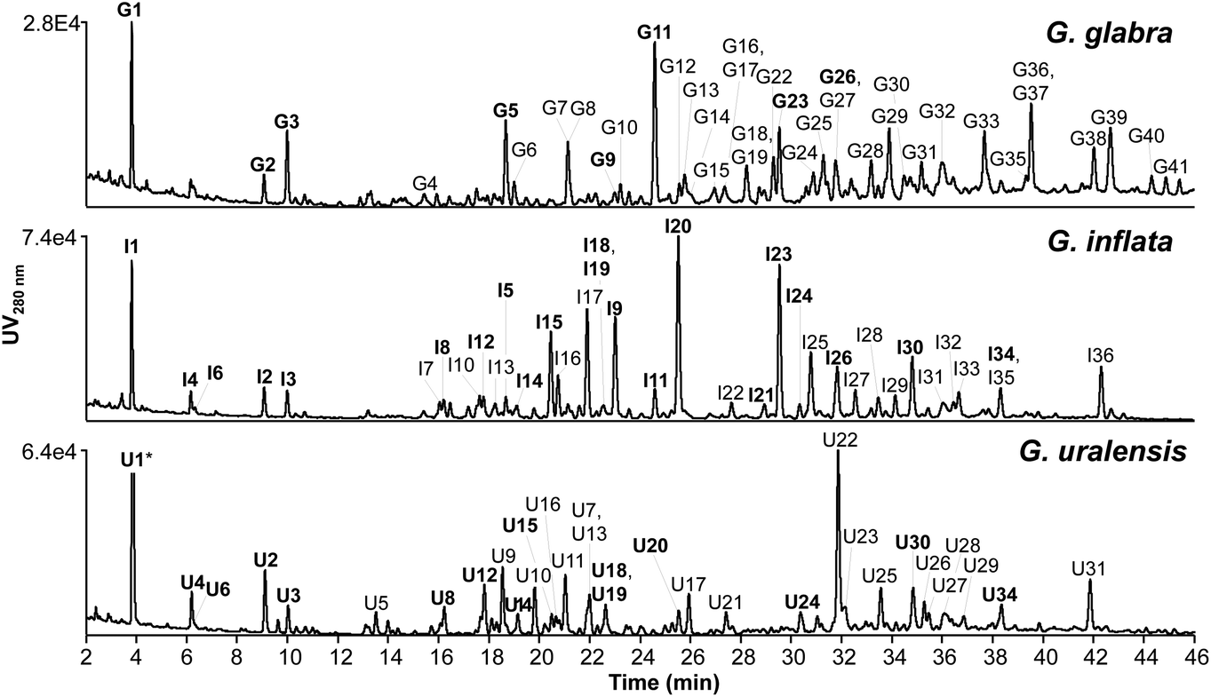 Valorisation of liquorice ( Glycyrrhiza ) roots: antimicrobial activity and cytotoxicity of ...