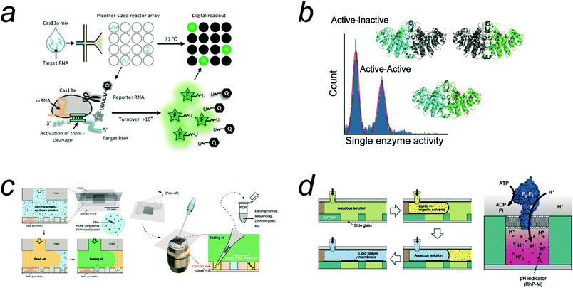 Enzyme-based digital bioassay technology – key strategies and future ...