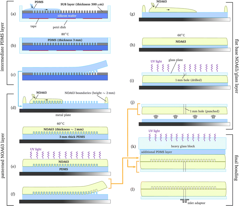 Two-dimensional micromodels for studying the convective dissolution of ...