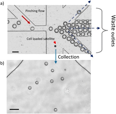 High precision, high throughput generation of droplets containing ...