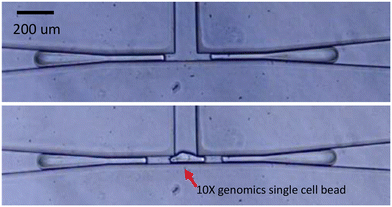 High precision, high throughput generation of droplets containing ...