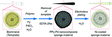 Electroless nickel plating on a biomineral-based sponge structure ...