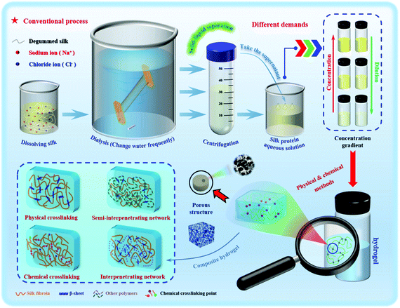 Challenges and opportunities of silk protein hydrogels in biomedical ...