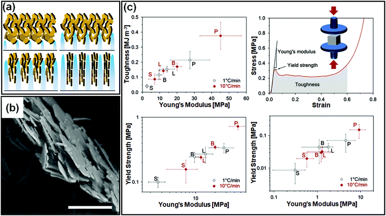 Materials prepared by Freezing-Induced Self-Assembly of Dispersed ...