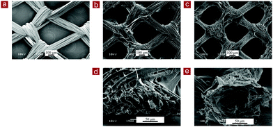 Preparation of mesh-like collagen scaffolds for tissue engineering ...