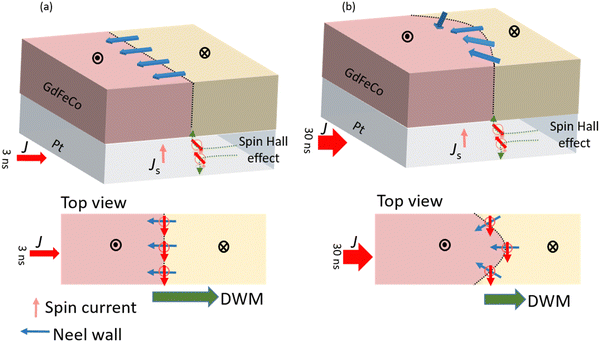 Elucidation of the mechanism for maintaining ultrafast domain wall ...