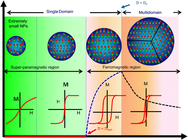 Therapeutic applications of magnetic nanoparticles: recent advances ...