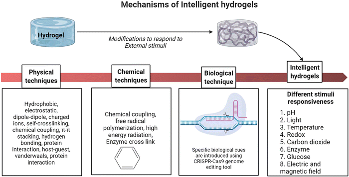Intelligent hydrogels and their biomedical applications - Materials ...