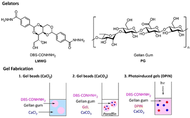Combining gellan gum with a functional low-molecular-weight gelator to ...