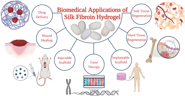 Self-assembled silk fibroin hydrogels: from preparation to biomedical ...
