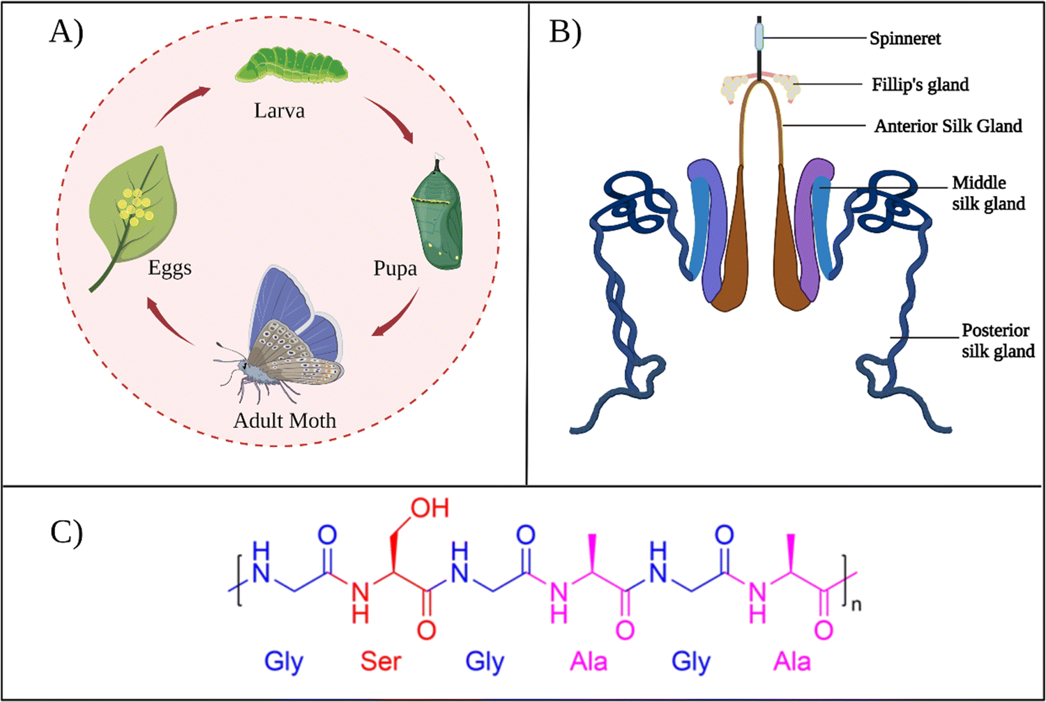 Self-assembled silk fibroin hydrogels: from preparation to biomedical ...