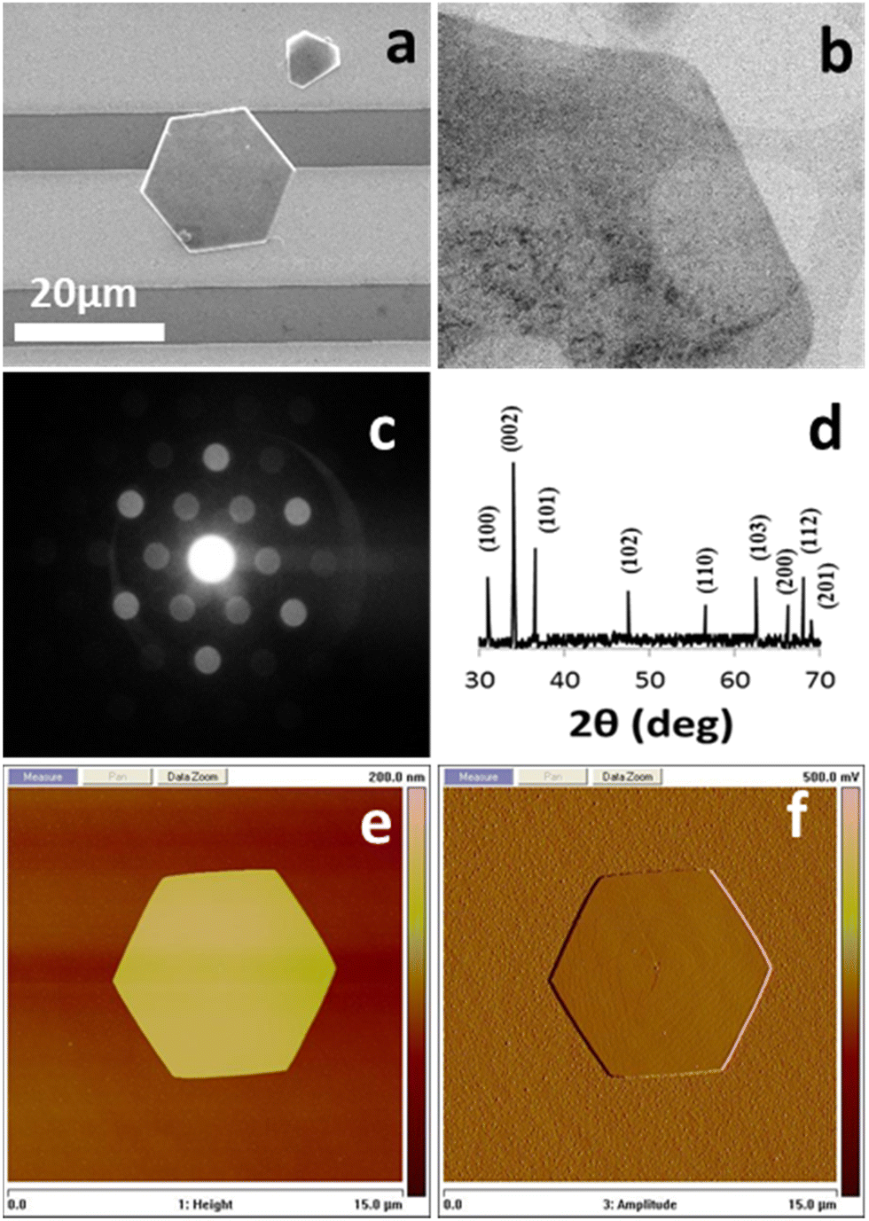 ZnO nanoleaves with superior photodetection properties - Materials ...