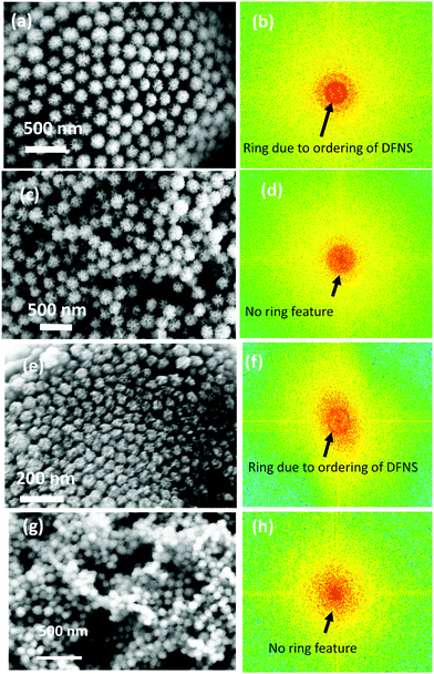Interlocking dendritic fibrous nanosilica into microgranules by ...