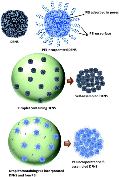 Interlocking dendritic fibrous nanosilica into microgranules by ...