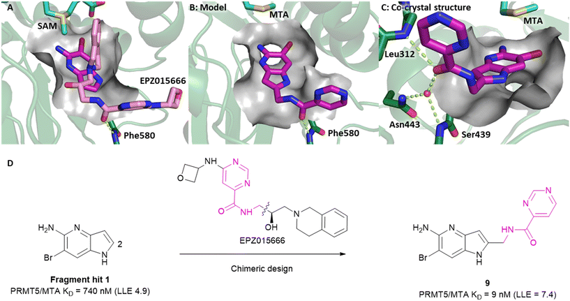 Fragment optimization and elaboration strategies – the discovery of two ...