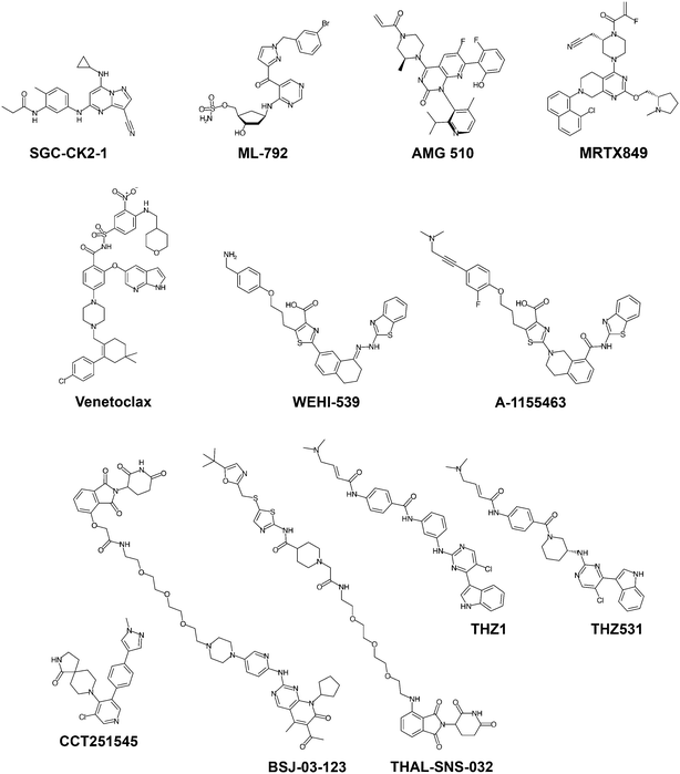 The era of high-quality chemical probes - RSC Medicinal Chemistry (RSC ...