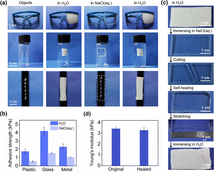 A salt-triggered multifunctional smart window derived from a dynamic ...