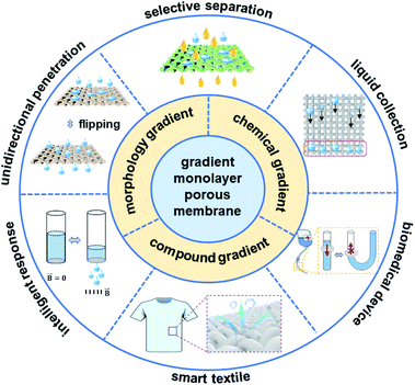 Gradient monolayered porous membrane for liquid manipulation: from ...