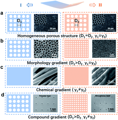 Gradient monolayered porous membrane for liquid manipulation: from ...