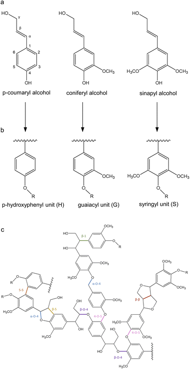 Antibacterial lignin-based nanoparticles and their use in composite ...